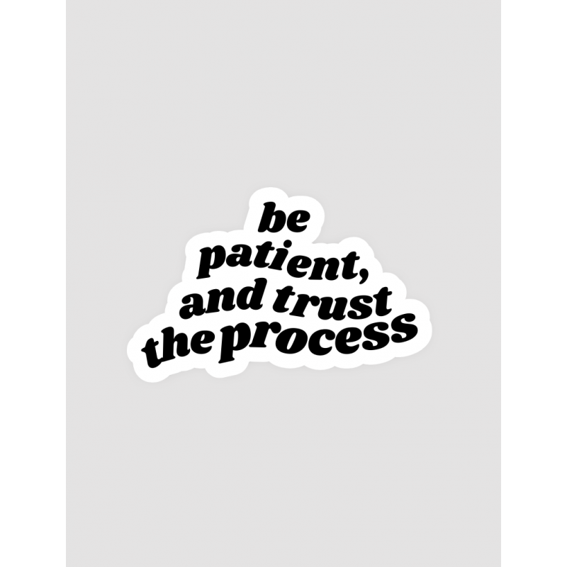 Trust the Process Stickers